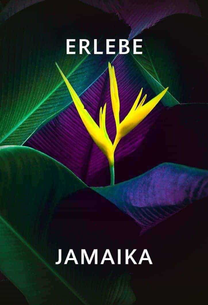 360 Grad Sound Urlaub mit HUAWEI Sonic Escapes | Techgarage