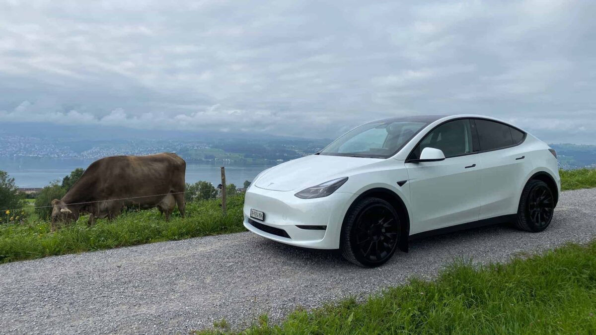 Tesla Model Y im Test: Der Elektro-SUV, der die Schweiz erobern wird ...